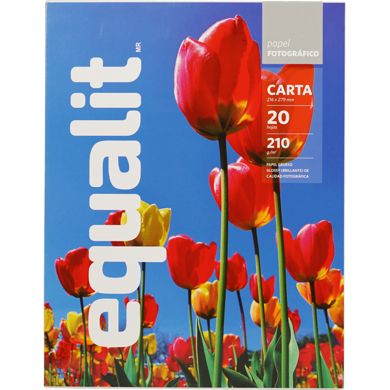 Resma Doble Carta Gris