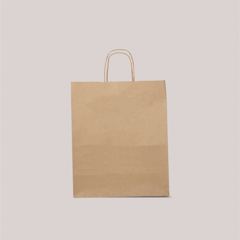 Bolsa papel delivery